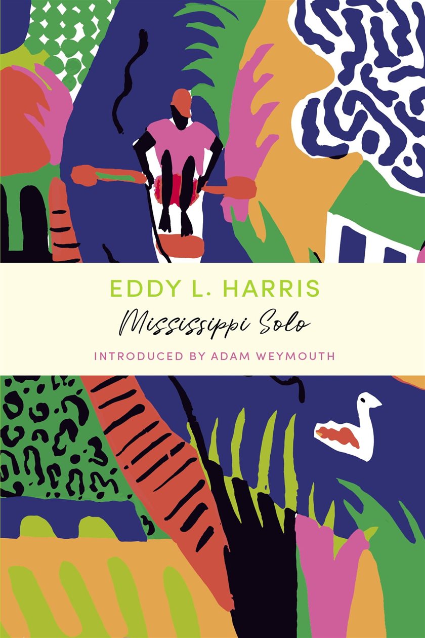 Mississippi Solo by Eddy L Harris (ebook)