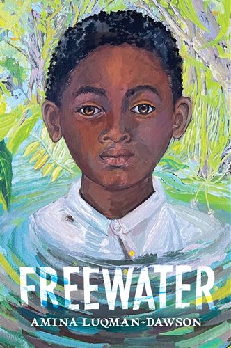Freewater by Amina Luqman-Dawson (ebook)