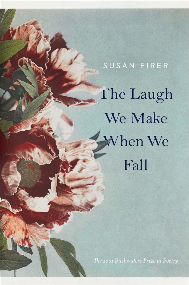 The Laugh We Make When We Fall by Susan Firer (ebook)
