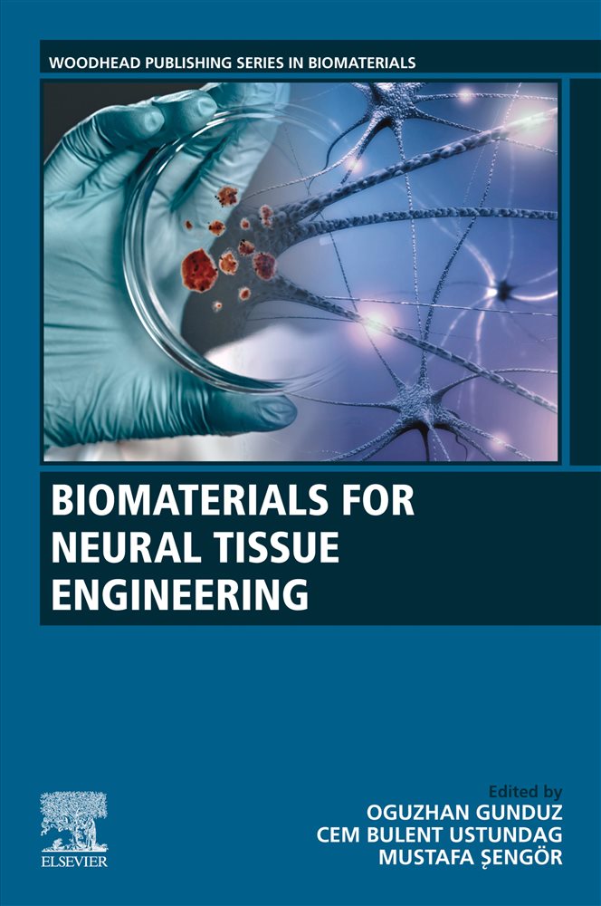 Biomaterials for Neural Tissue Engineering by Oguzhan Gunduz (ebook)