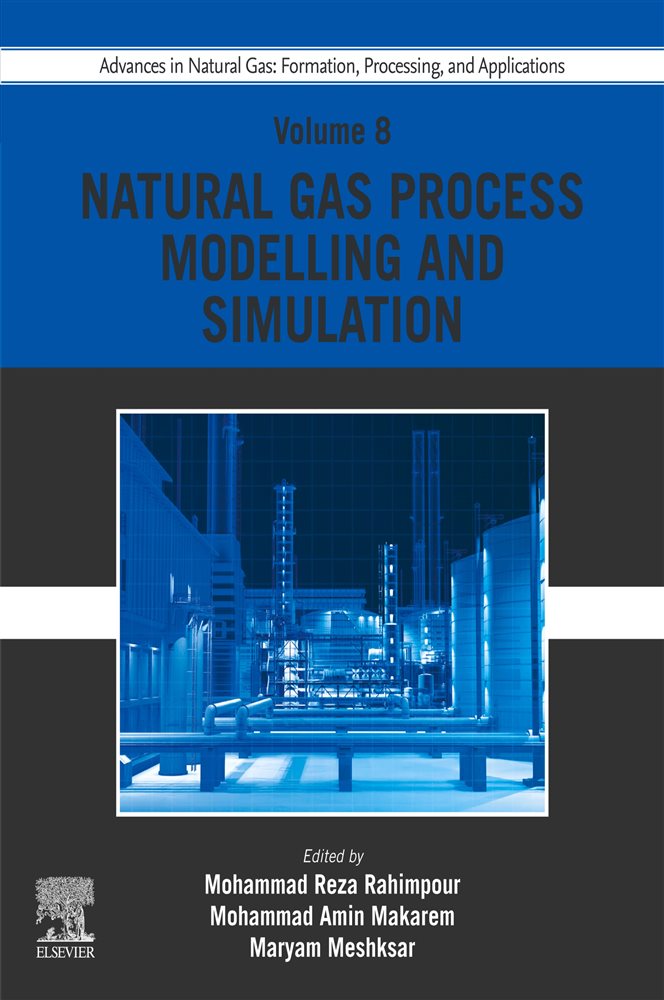 Advances in Natural Gas: Formation, Processing, and Applications ...