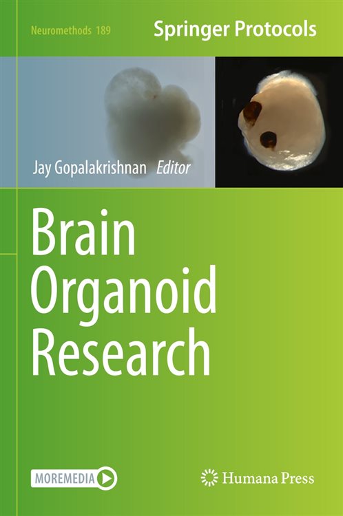 Brain Organoid Research by Jay Gopalakrishnan (ebook)