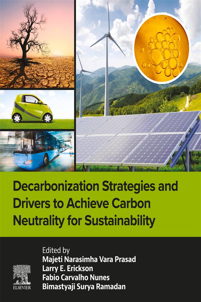 Decarbonization Strategies and Drivers to Achieve Carbon Neutrality for ...