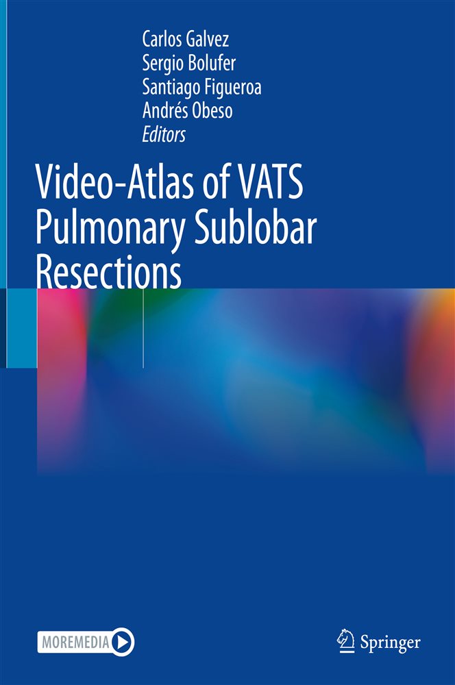 Video-Atlas of VATS Pulmonary Sublobar Resections