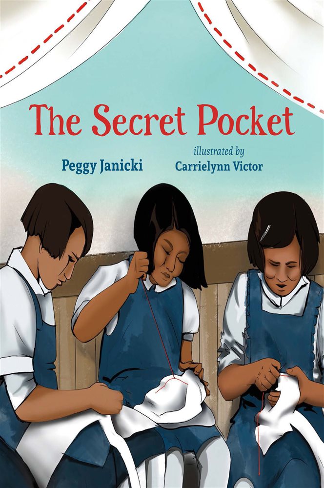 The Secret Pocket by Peggy Janicki (ebook)