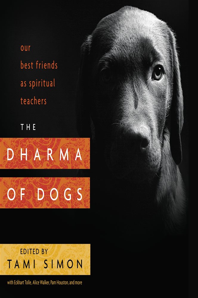 The Dharma of Dogs by Tami Simon (ebook)