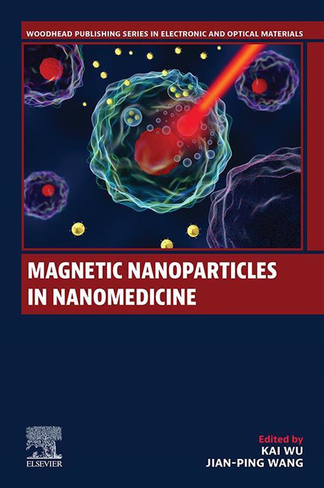 Magnetic Nanoparticles in Nanomedicine by Kai Wu (ebook)