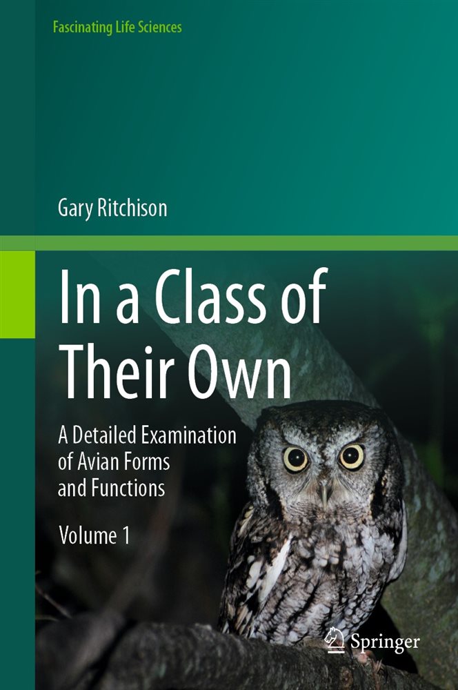 In a Class of Their Own by Gary Ritchison (ebook)