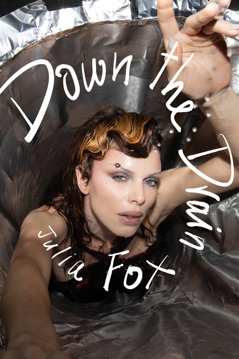 Down the Drain by Julia Fox (ebook)