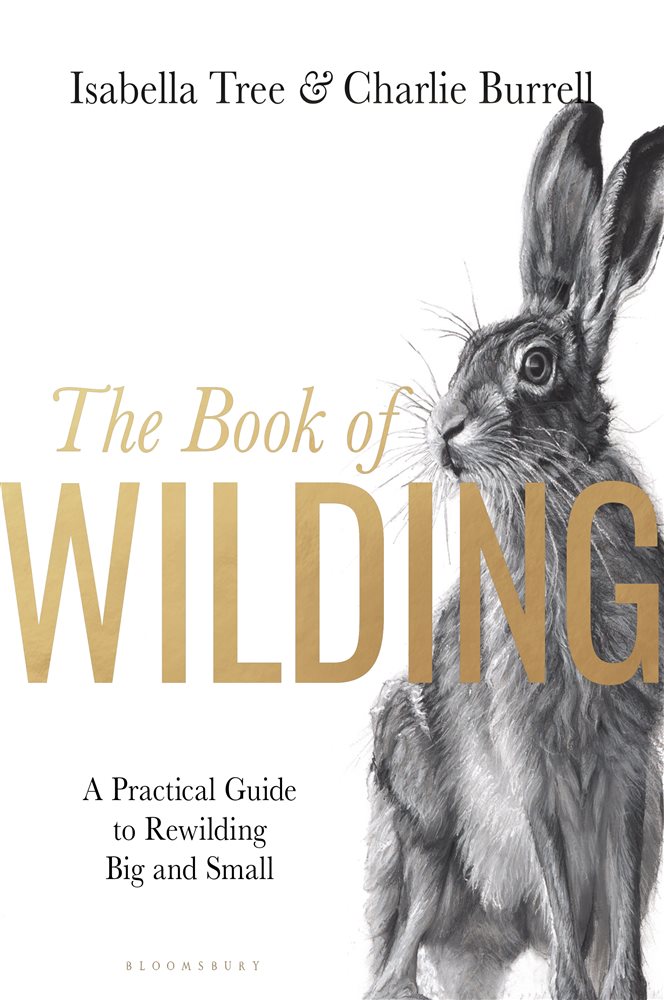 The Book of Wilding by Isabella Tree (ebook)