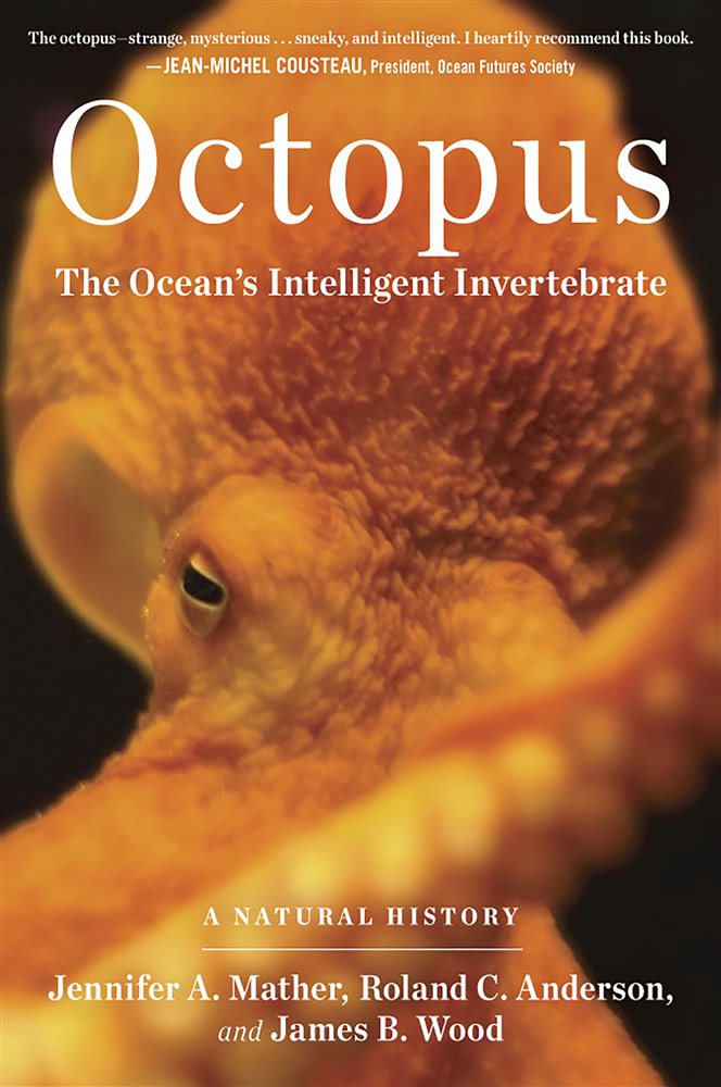 Octopus by Jennifer A. Mather (ebook)