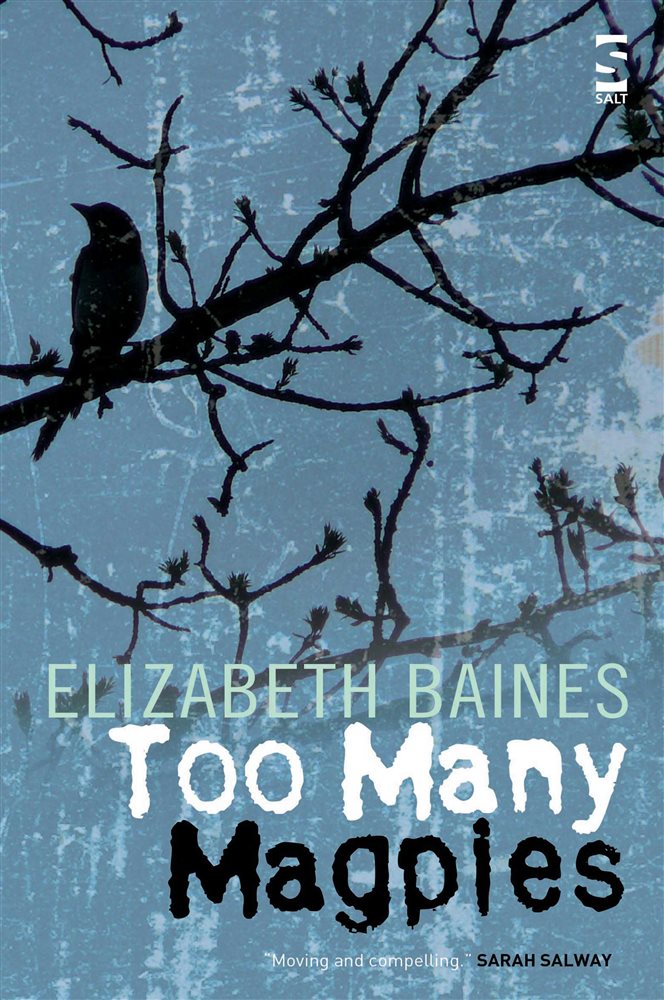 Too Many Magpies by Elizabeth Baines (ebook)