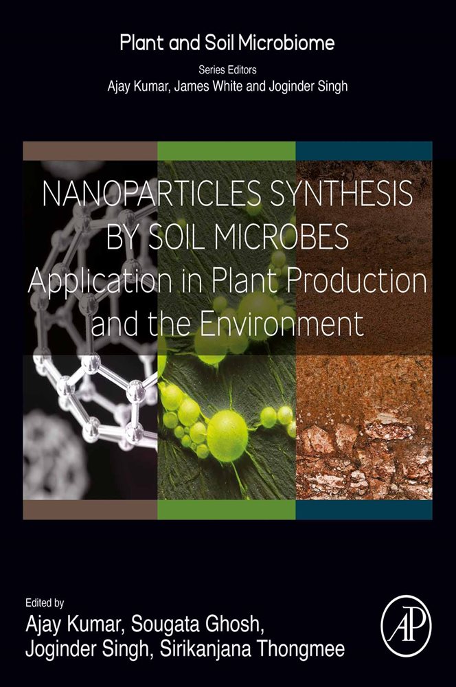 Nanoparticles Synthesis by Soil Microbes by Ajay Kumar Ph.D. (ebook)