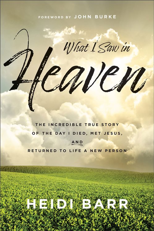 What I Saw in Heaven by Heidi Barr (ebook)