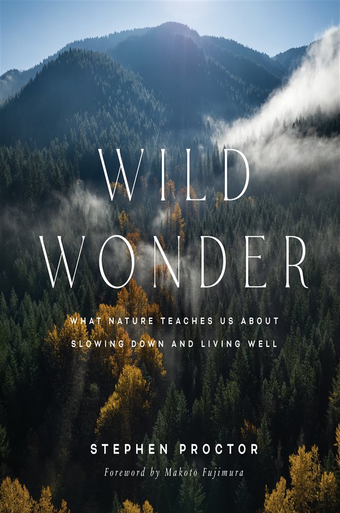Wild Wonder by Stephen Proctor (ebook)