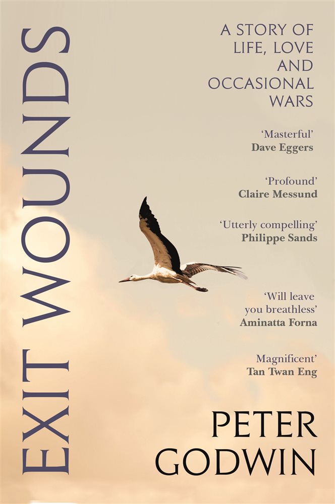 Exit Wounds by Peter Godwin (ebook)