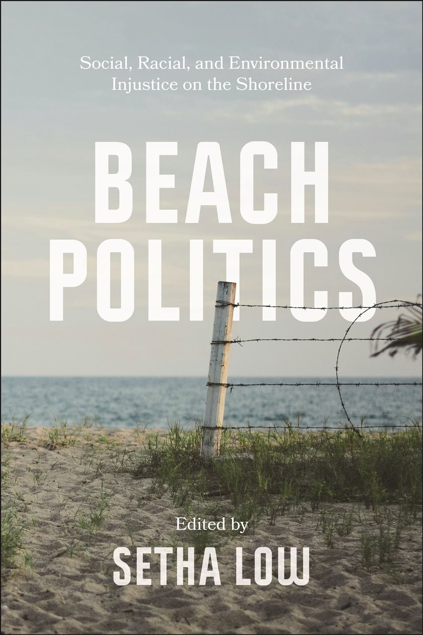 Beach Politics by Setha Low (ebook)