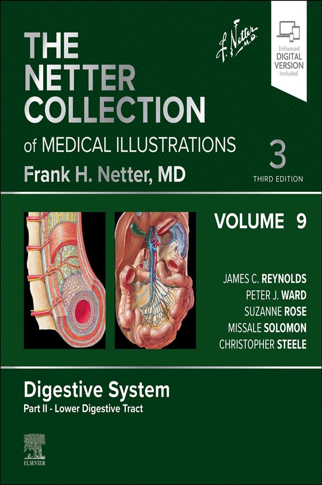 The Netter Collection of Medical Illustrations: Digestive System ...