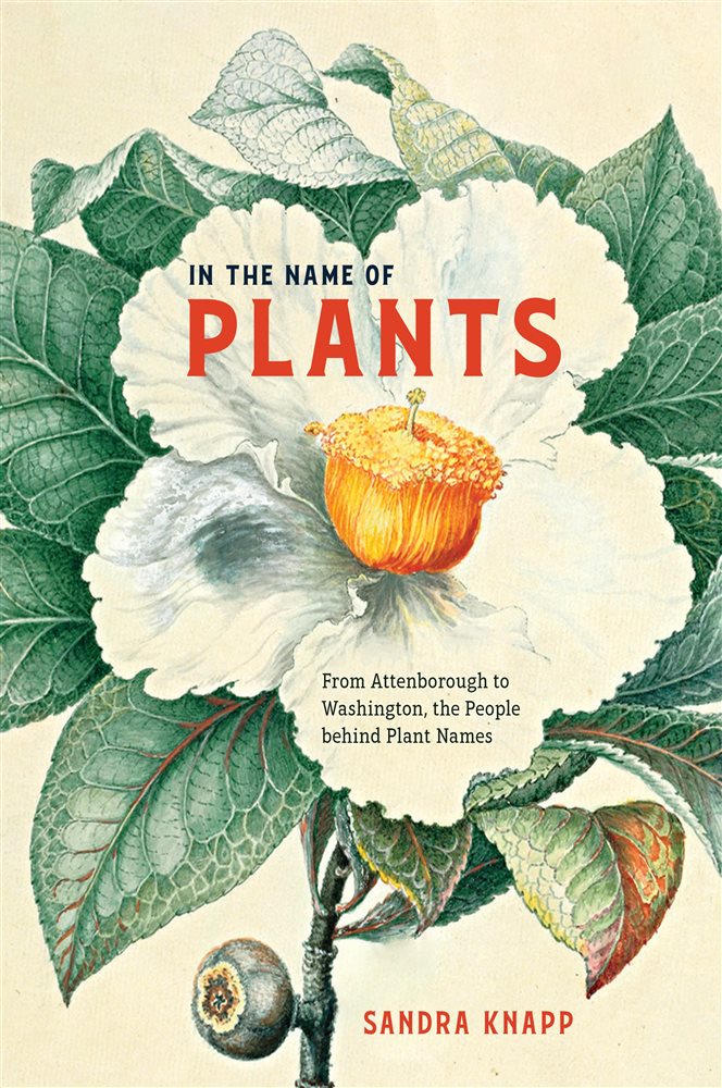 In the Name of Plants by Sandra Knapp (ebook)