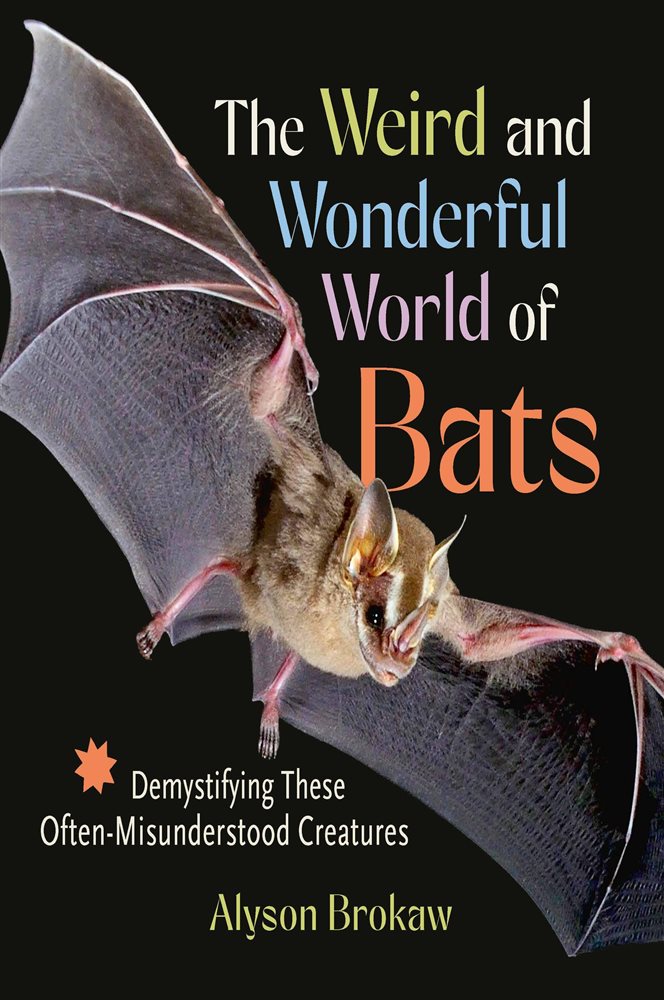 The Weird and Wonderful World of Bats by Alyson Brokaw (ebook)