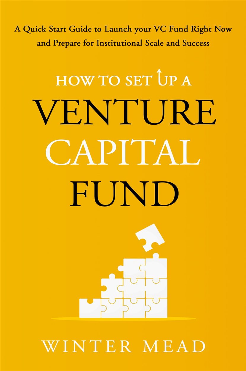How To Set Up A Venture Capital Fund by Winter Mead (ebook)