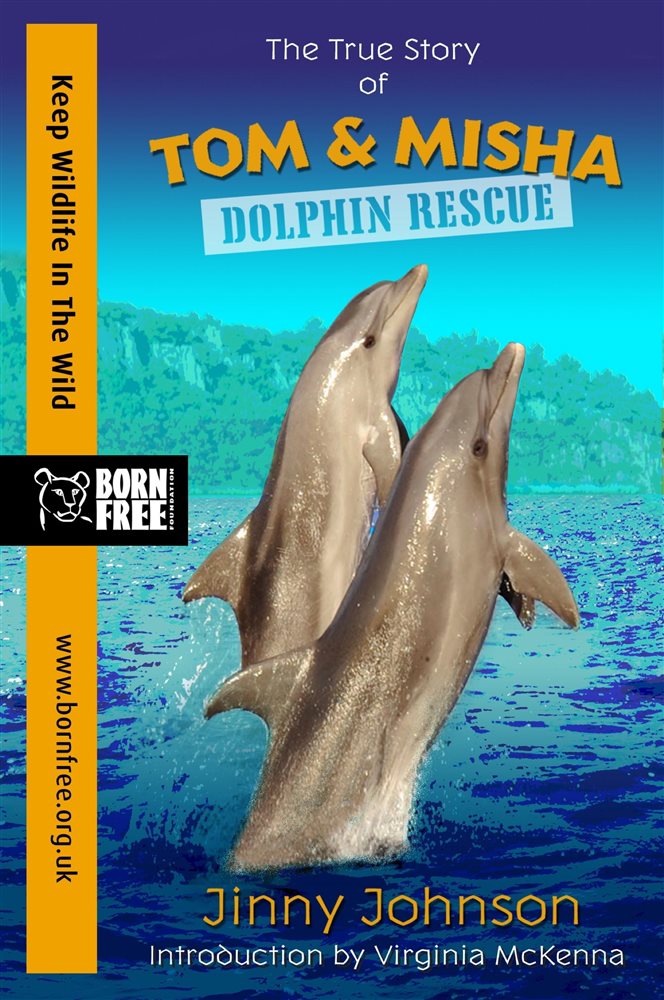 Dolphin Rescue by Jinny Johnson (ebook)