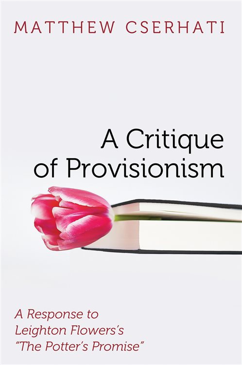 A Critique of Provisionism by Matthew Cserhati (ebook)