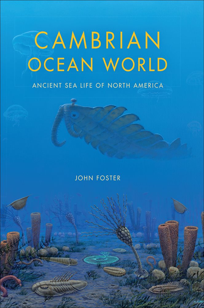 Cambrian Ocean World by John Foster (ebook)