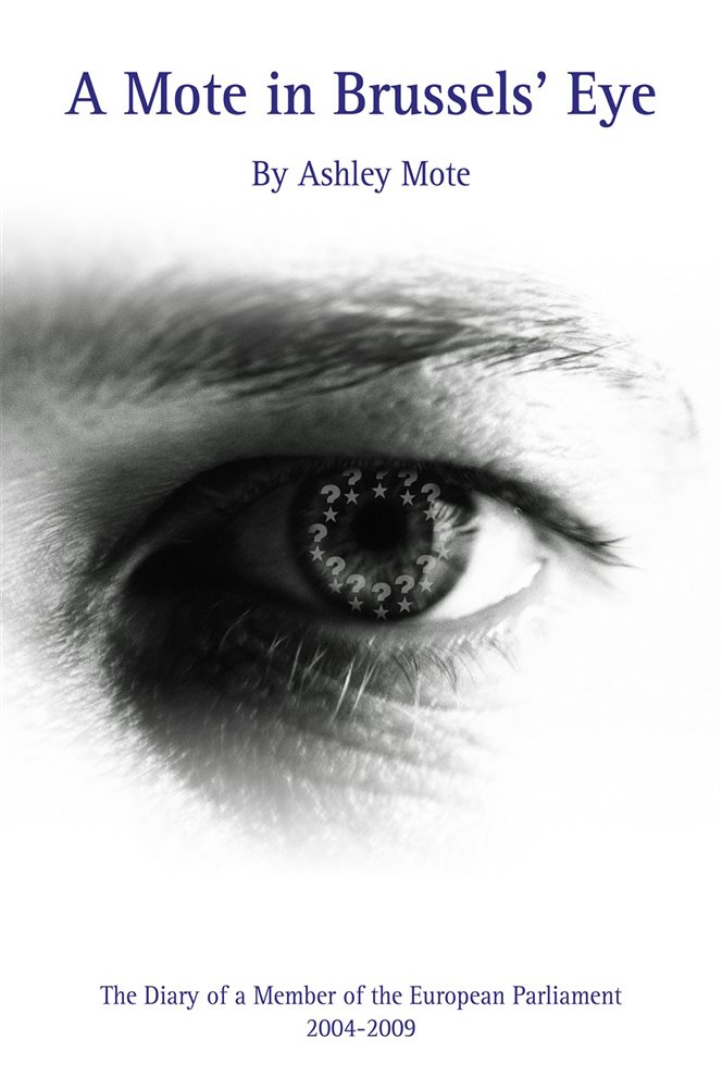 A Mote in Brussels' Eye by Ashley Mote (ebook)