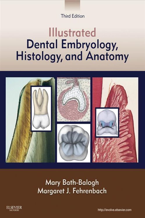Illustrated Dental Embryology, Histology, and Anatomy - E-Book