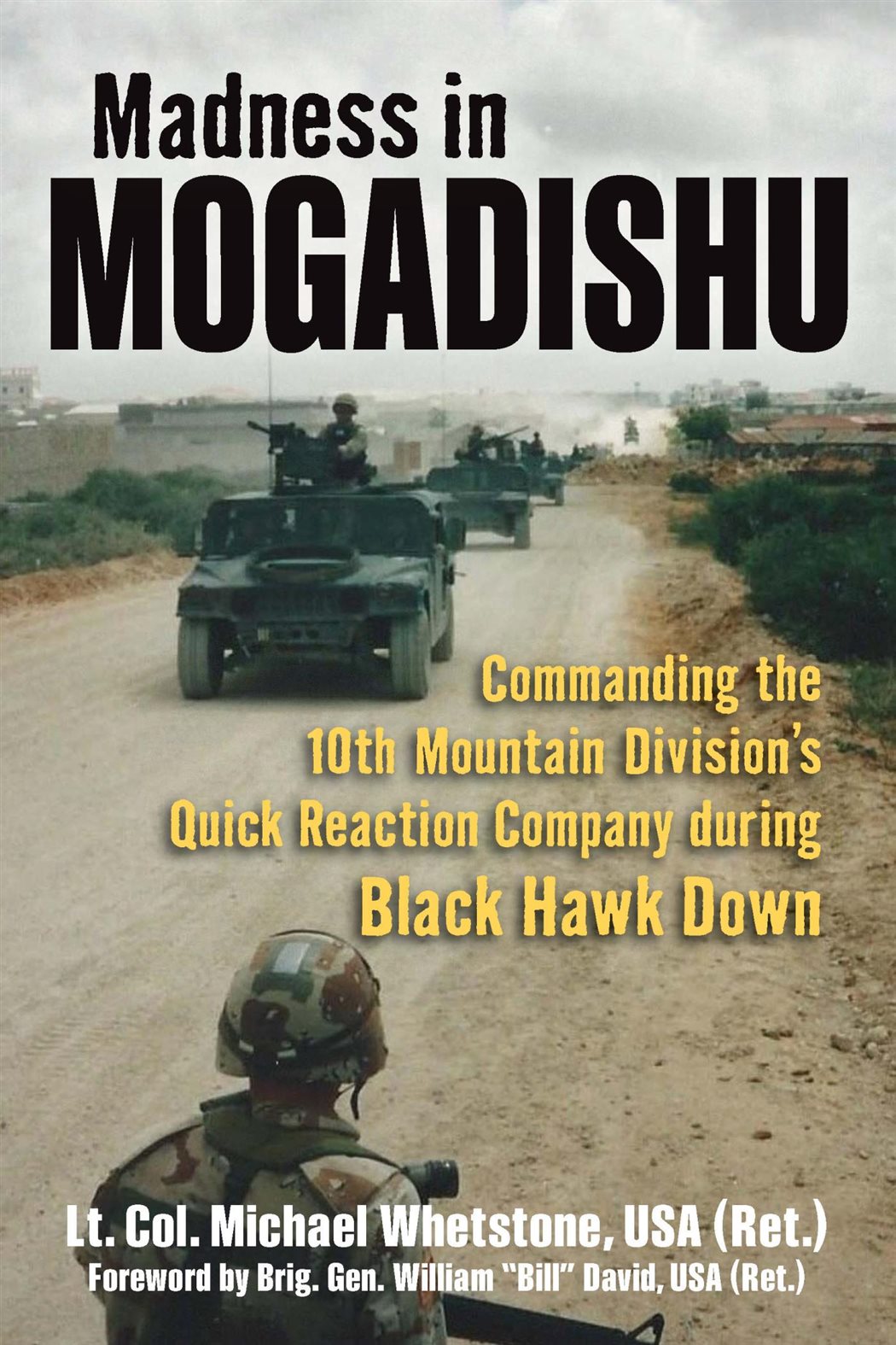 Madness in Mogadishu by Michael Whetstone (ebook)