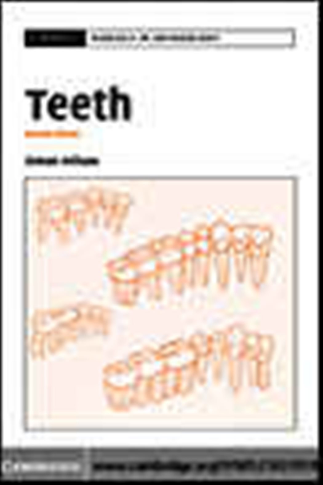 Teeth (2nd ed.) by Simon Hillson (ebook)