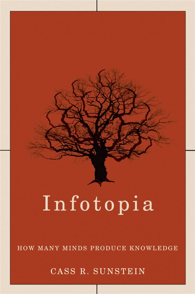 Infotopia by Cass R. Sunstein (ebook)