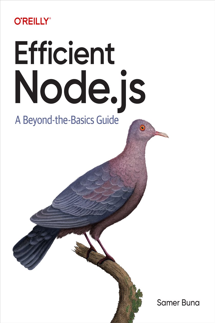 Efficient Node.js by Samer Buna (ebook)