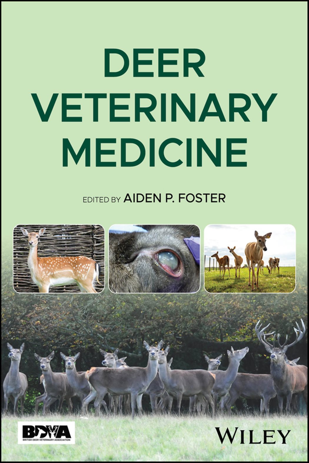 Deer Veterinary Medicine by Aiden P. Foster (ebook)