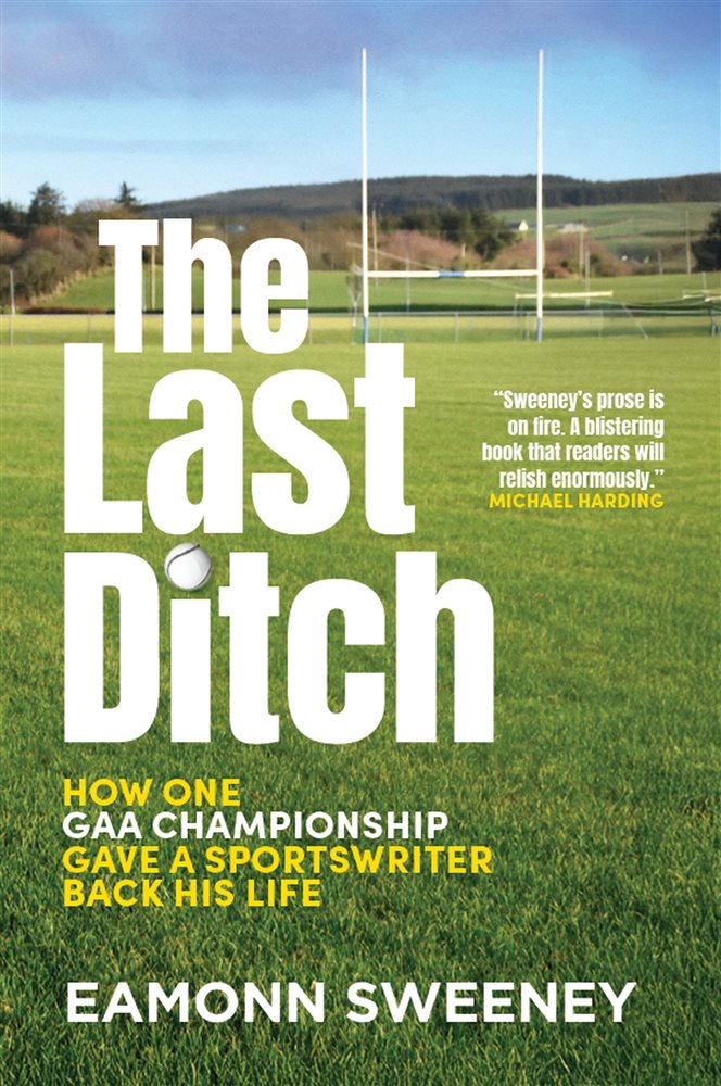 The Last Ditch by Eamonn Sweeney (ebook)