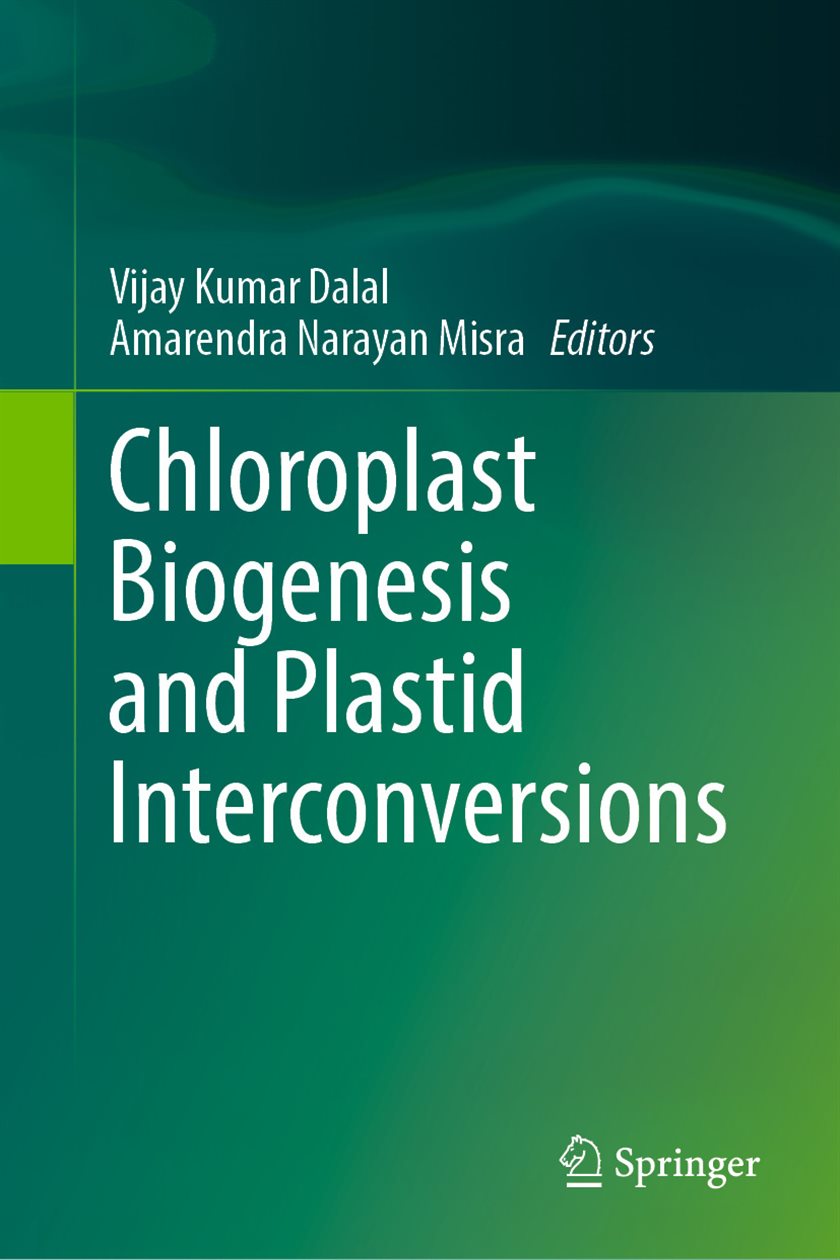 Chloroplast Biogenesis and Plastid Interconversions