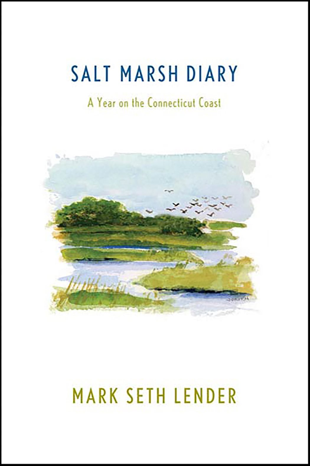 Salt Marsh Diary by Mark Seth Lender (ebook)