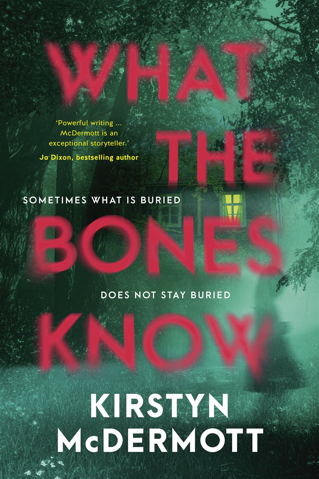 What the Bones Know: The new 2026 debut contemporary gothic ...