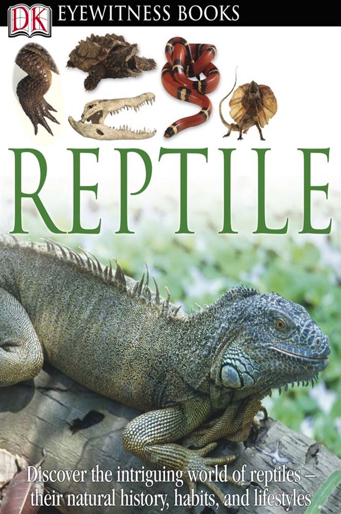 DK Eyewitness Books: Reptile by Colin McCarthy (ebook)