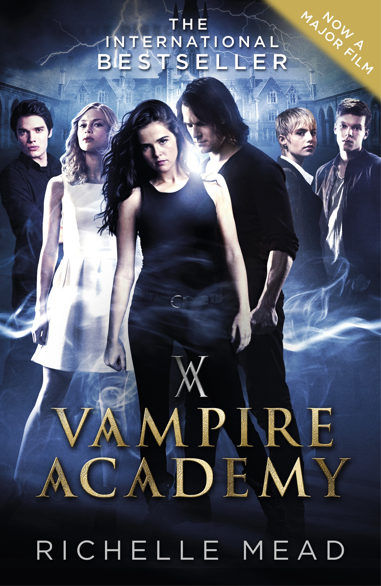 Vampire Academy Book 1 Book Cover