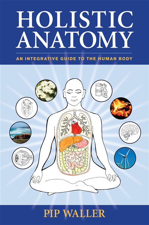 Holistic Anatomy by Pip Waller (ebook)