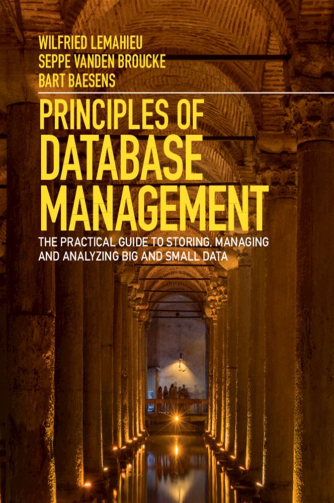 Principles of Database Management by Wilfried Lemahieu (ebook)
