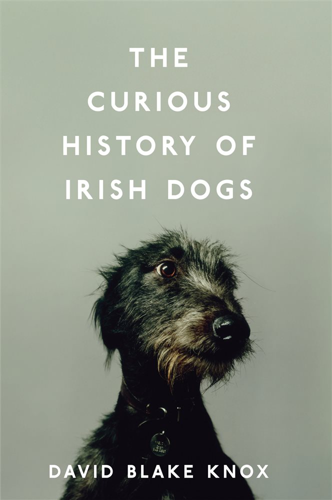 The Curious History of Irish Dogs by David Blake Knox (ebook)