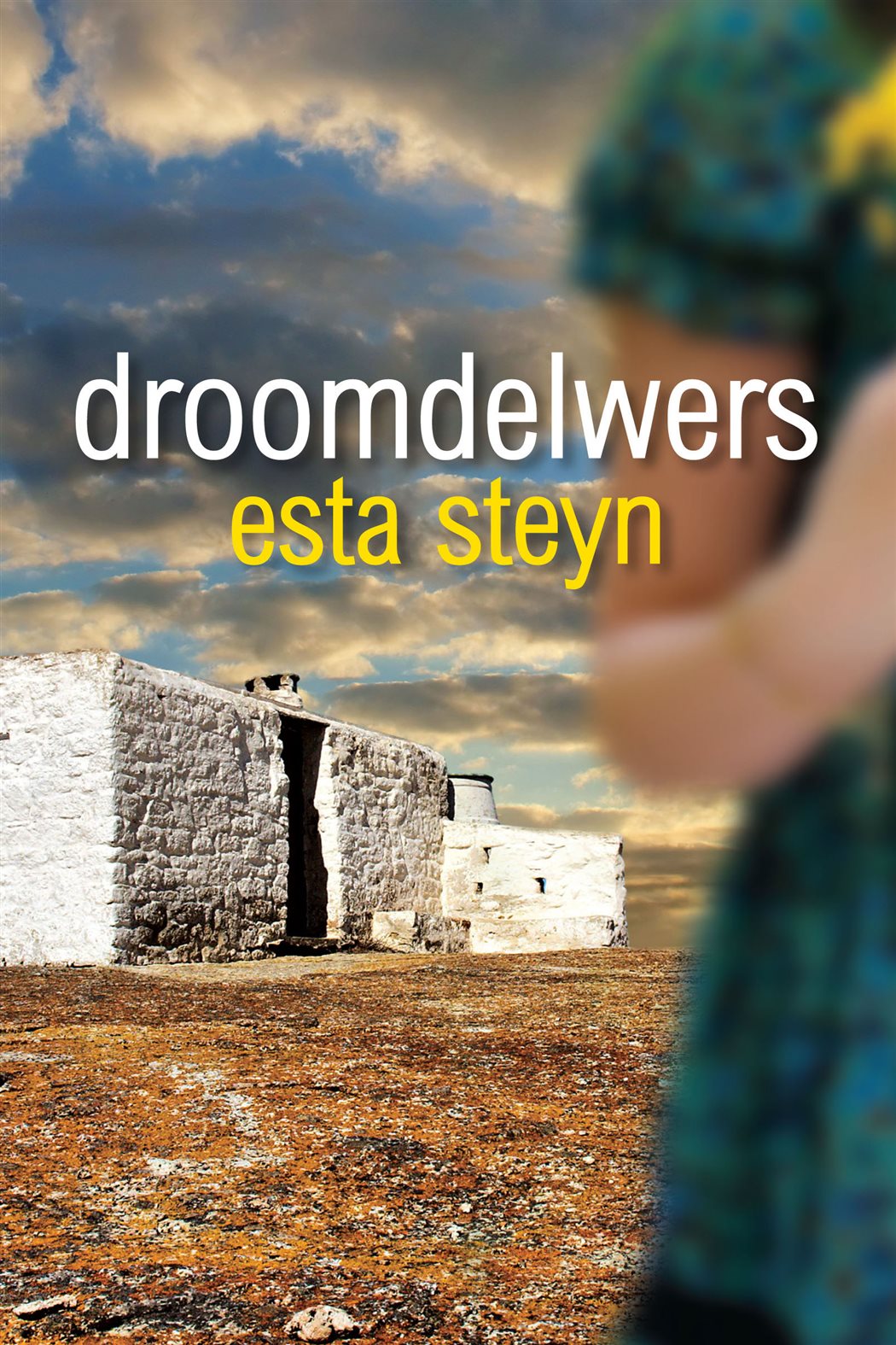 Droomdelwers by Esta Steyn (ebook)