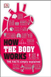 How the Body Works by DK (ebook)